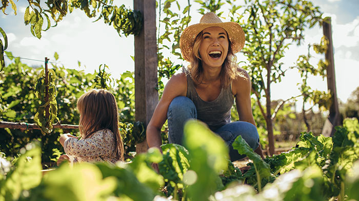 Guida al giardinaggio Fai da Te - Roli D